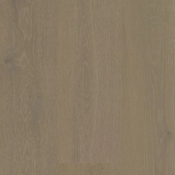 Biyork - Nouveau 7 Collection - French Truffle