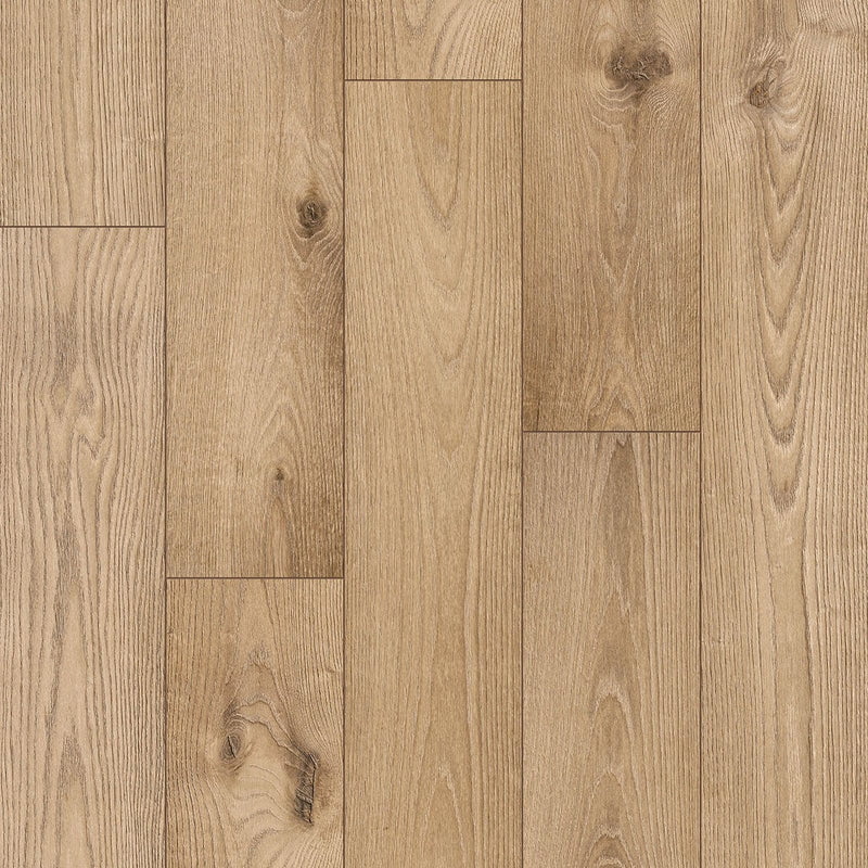 Inhaus - Sono Eclipse Collection - Bower