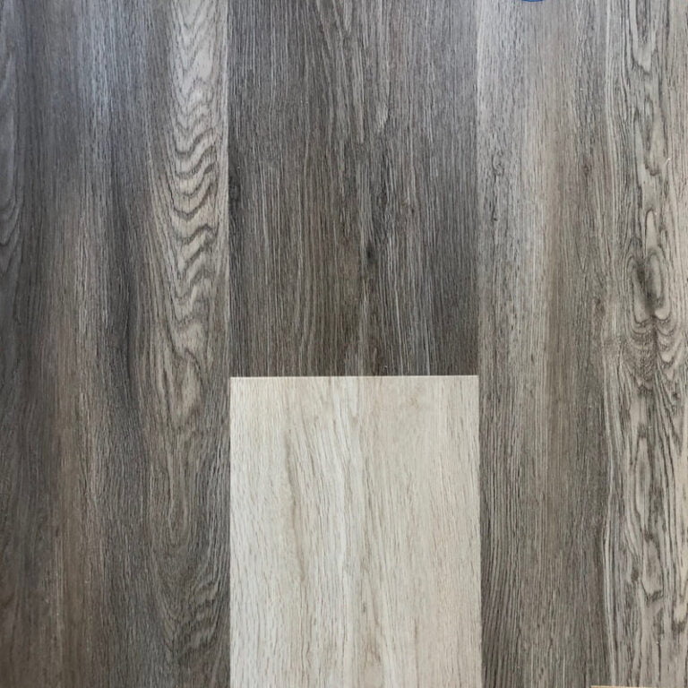 Simba - Solar System Collection - Bavaria